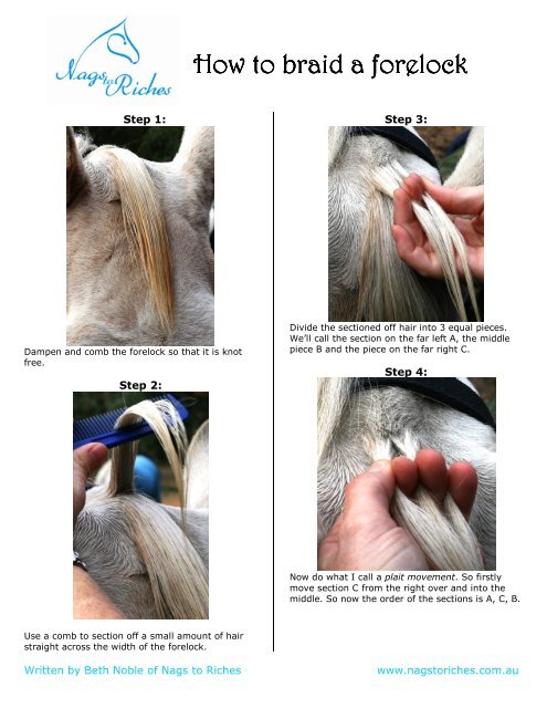 How to braid a forelock braid a forelock - Nags To Riches