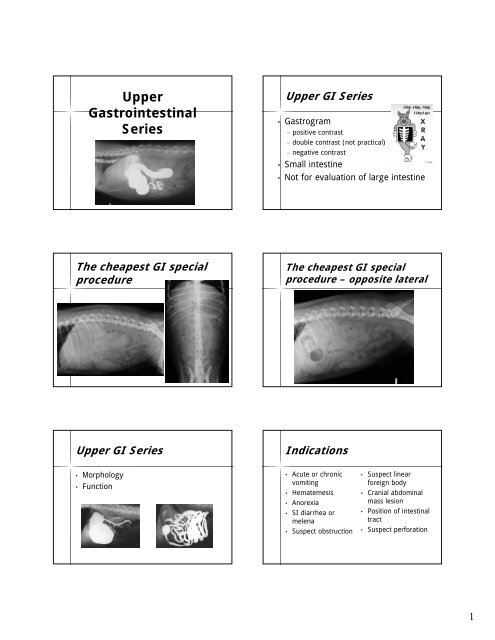 Upper Gastrointestinal Series