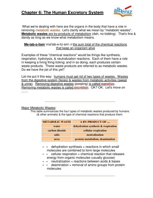 Types Of Excretion In Humans