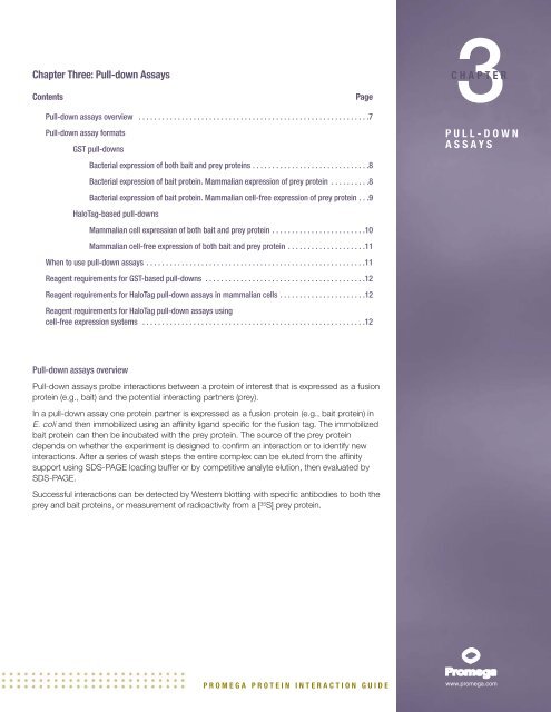 Pull-Down Assays chapter, Protein Interaction guide ... - Promega