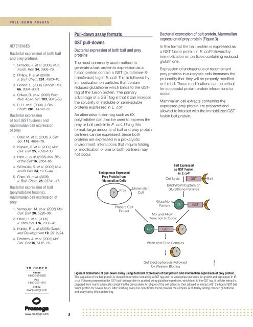 PULL-DOWN ASSAYS REFERENC
