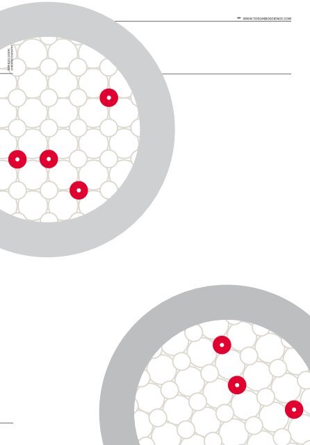 Chromatographic Process Media Catalog - Tosoh Bioscience GmbH