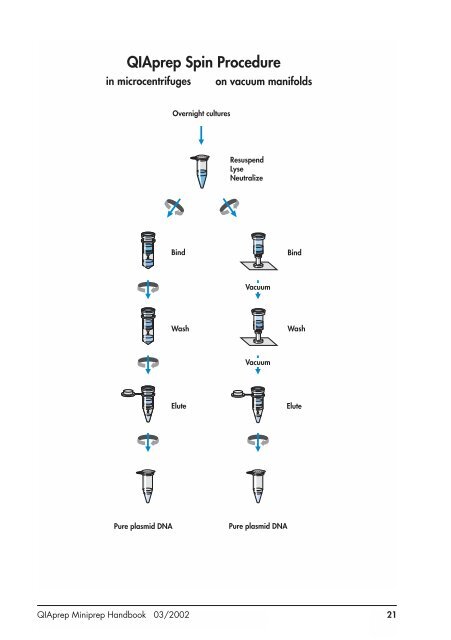 QIAprep Miniprep Handbook
