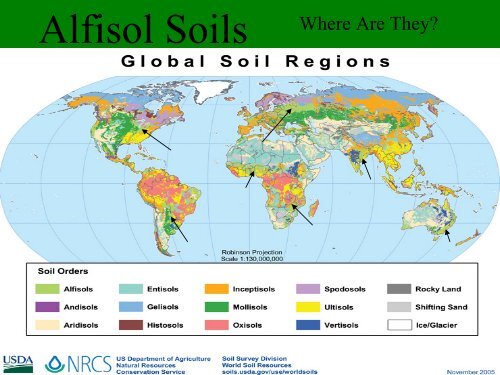 Alfisol