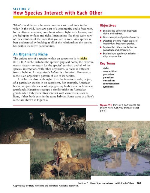 Animal Competition Examples