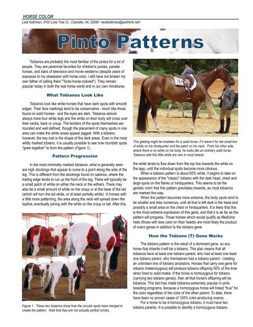 Pinto Patterns