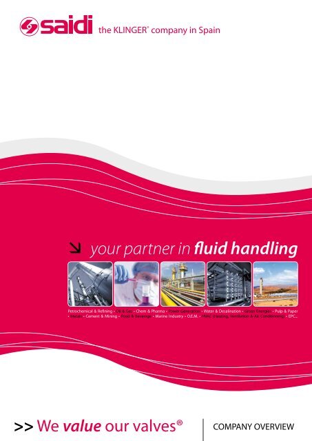 SAIDI_Company_Overview_ESP