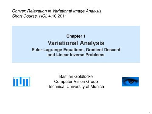 Variational Analysis Euler Lagrange Equations Gradient Hci