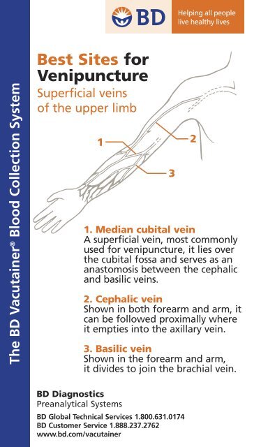 Best Sites for Venipuncture - BD