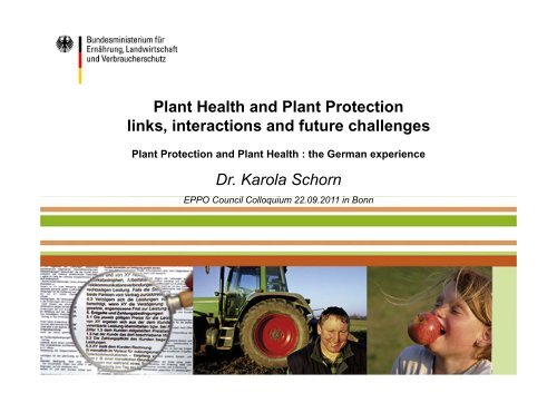 Plant Health and Plant Protection links, interactions and future ...