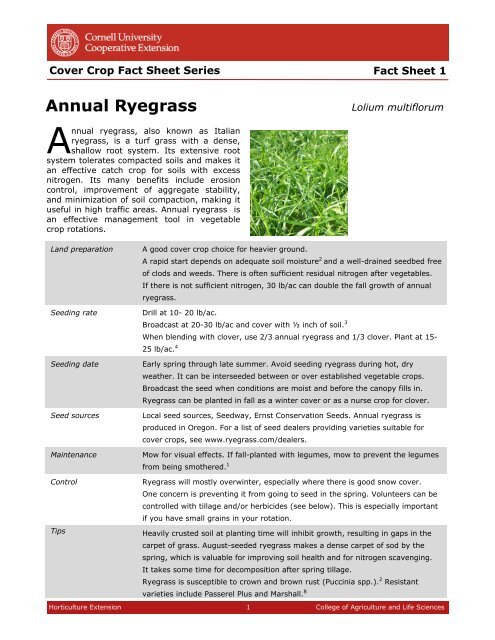 Cover Crop Fact Sheet Annual Ryegrass-2 - Horticulture - Cornell ...