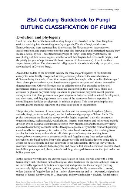 21st Century Guidebook to Fungi OUTLINE CLASSIFICATION OF ...