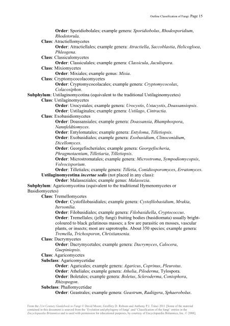 Outline Classification Of 2022