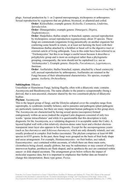 Outline Classification Of 6067