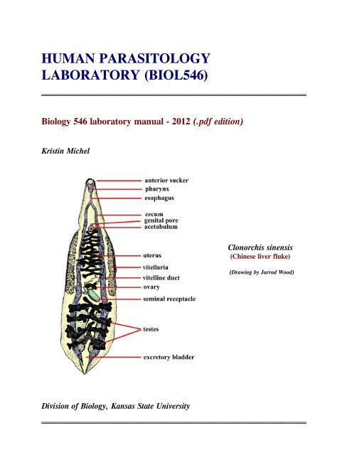 human parasitology laboratory (biol546) - Kansas State University