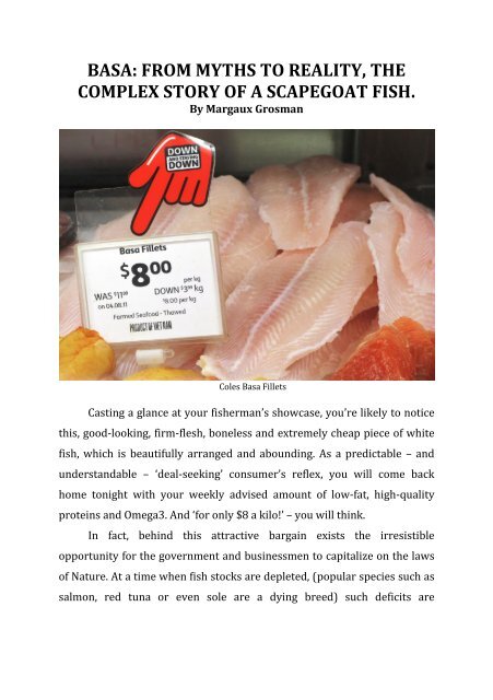 BASA: FROM MYTHS TO REALITY, THE COMPLEX STORY OF A ...