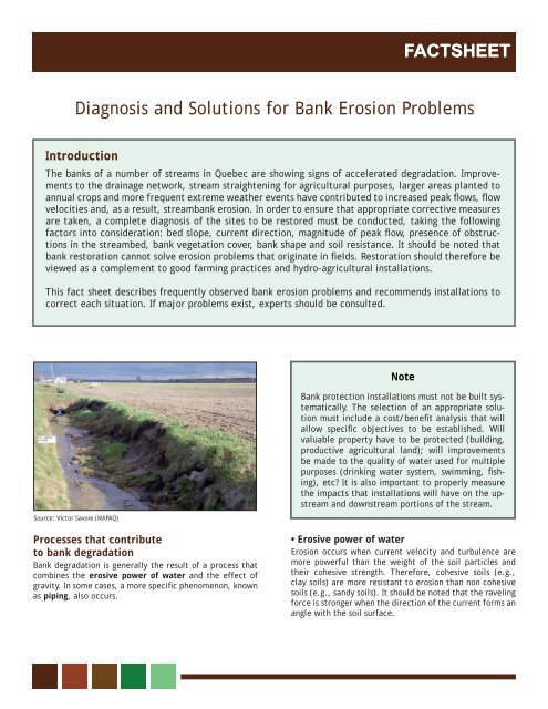 FACTSHEET Diagnosis and Solutions for Bank Erosion Problems ...