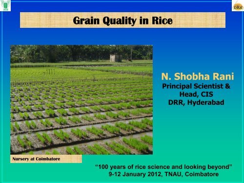 Grain Quality in Rice - TNAU