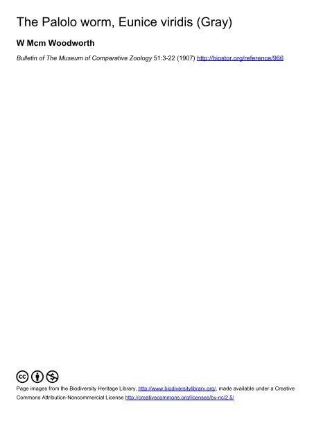 The Palolo worm, Eunice viridis (Gray) - BioStor
