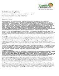 Burmese Python Care Sheet - Reptiles