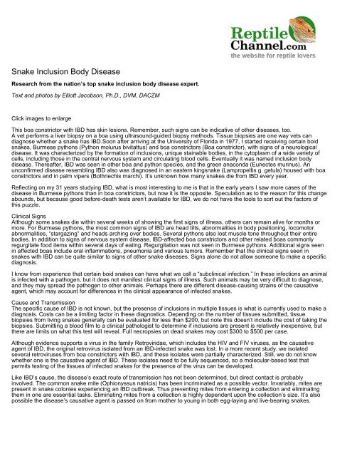 Snake Inclusion Body Disease - Reptiles