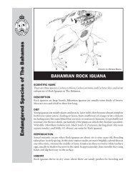 Ecosystems of The Bahamas - The Bahamas National Trust