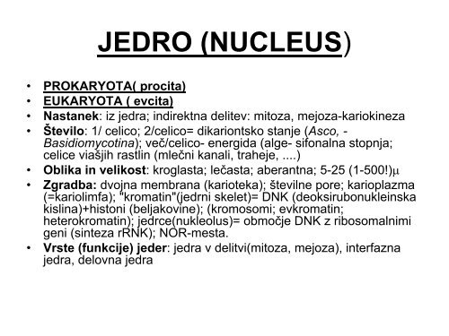 JEDRO (NUCLEUS)