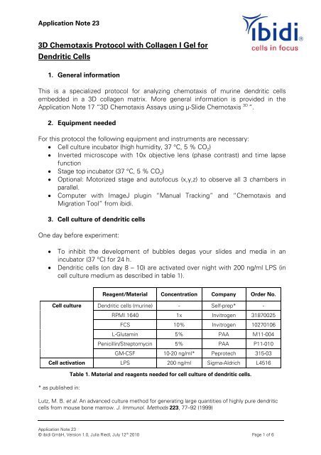 3D Chemotaxis Protocol with Collagen I Gel for Dendritic Cells - Ibidi