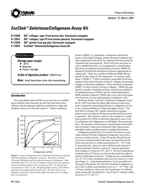 EnzChek Gelatinase/Collagenase Assay Kit - Molecular Probes