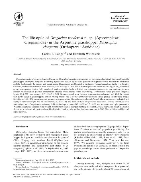 The life cycle of Gregarina ronderosi n. sp. (Apicomplexa ...