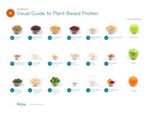 Visual Guide to Plant-Based Protein
