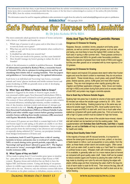 Safe Pastures for Horses with Laminitis - Kohnke's Own