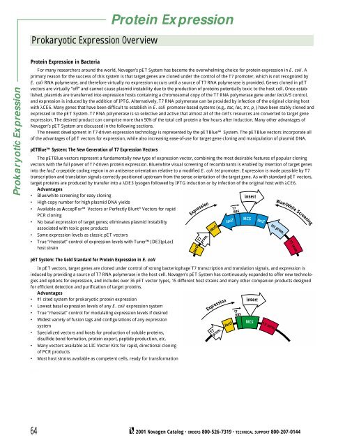 Protein Expression