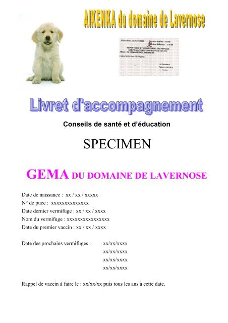 Livret accompagnement chiot