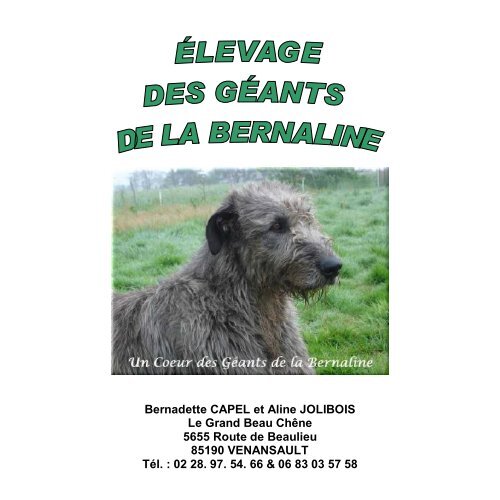 livret d'accueil du chiot scc