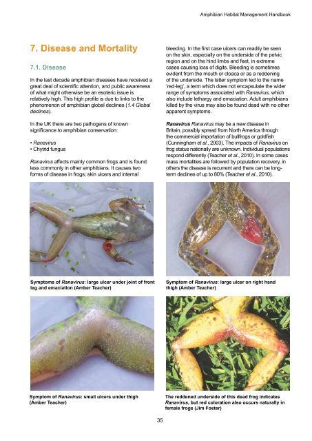 Chapter 7 - Amphibian and Reptile Conservation