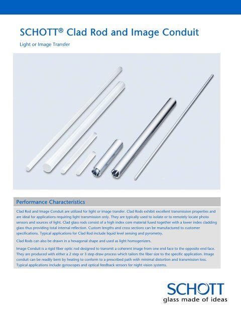 SCHOTT® Clad Rod and Image Conduit - SCHOTT North America