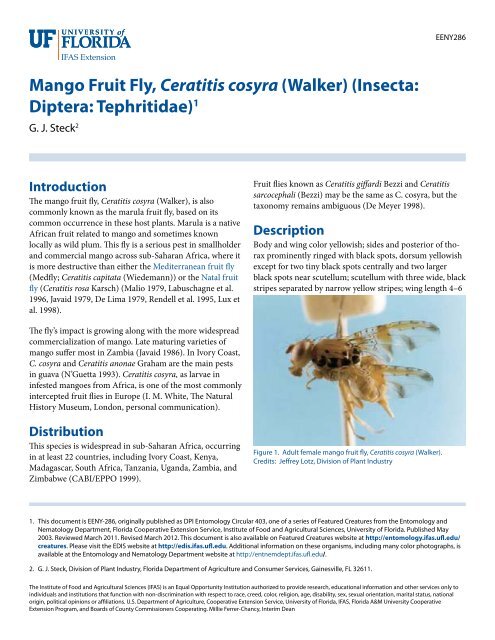 Mango Fruit Fly, Ceratitis cosyra - EDIS - University of Florida