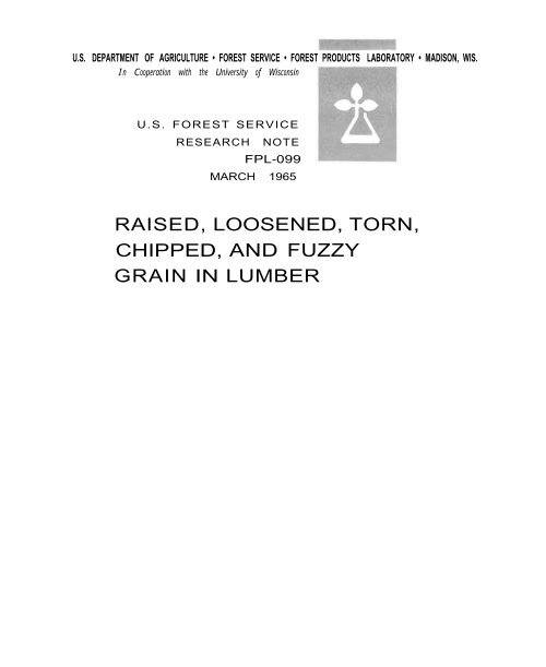 raised, loosened, torn, chipped, and fuzzy grain in lumber