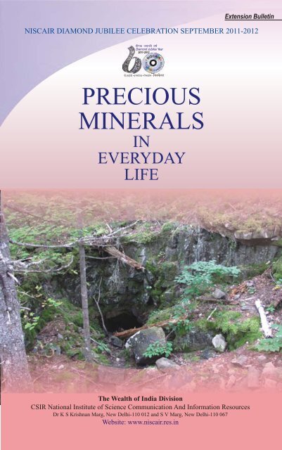 Precious Minerals in Everyday Life - niscair