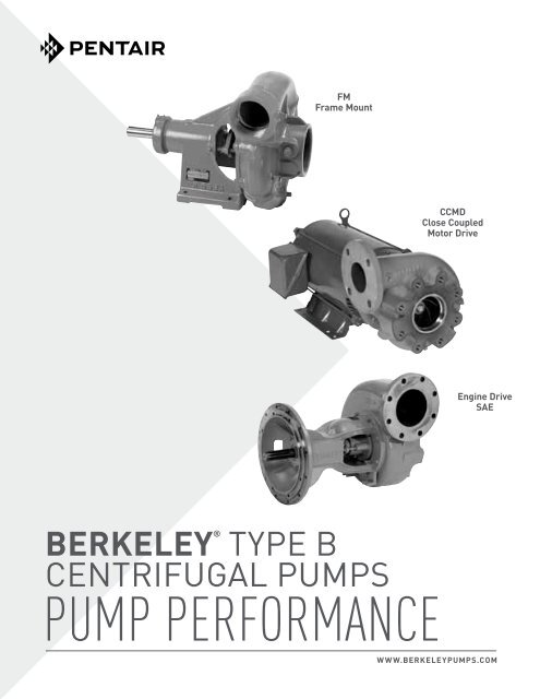 BERKELEY® TYPE B CENTRIFUGAL PUMPS