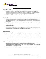 Immunofluorescent Staining of Foxp3 in Frozen Sections - BioLegend