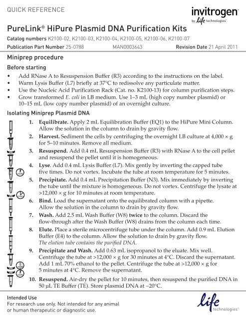 PureLink® HiPure Plasmid DNA Purification Kits - Invitrogen