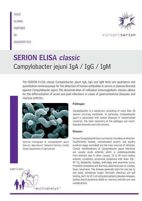 SERION ELISA classic Campylobacter jejuni IgA / IgG ... - virion\serion
