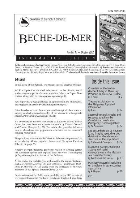 BECHE-DE-MER