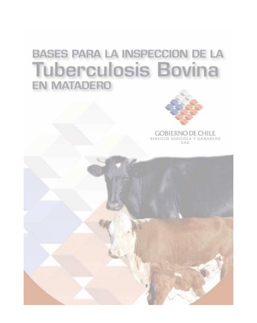 Capitulo 4 Lesiones De La Tuberculosis Bovina