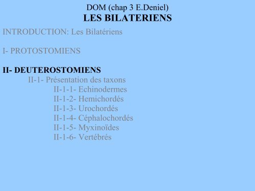 LES BILATERIENS