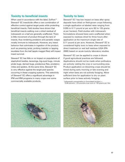 Chronic and subchronic to