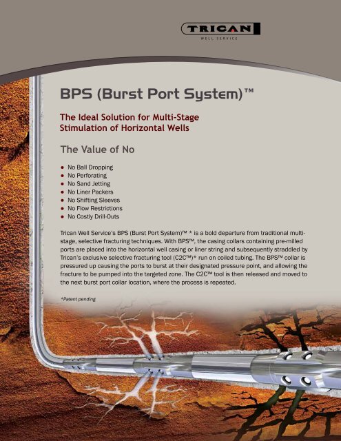 BPS (Burst Port System)™ - Trican Well Service