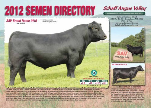 2012 SEMEN DIRECTORY - Schaff Angus Valley